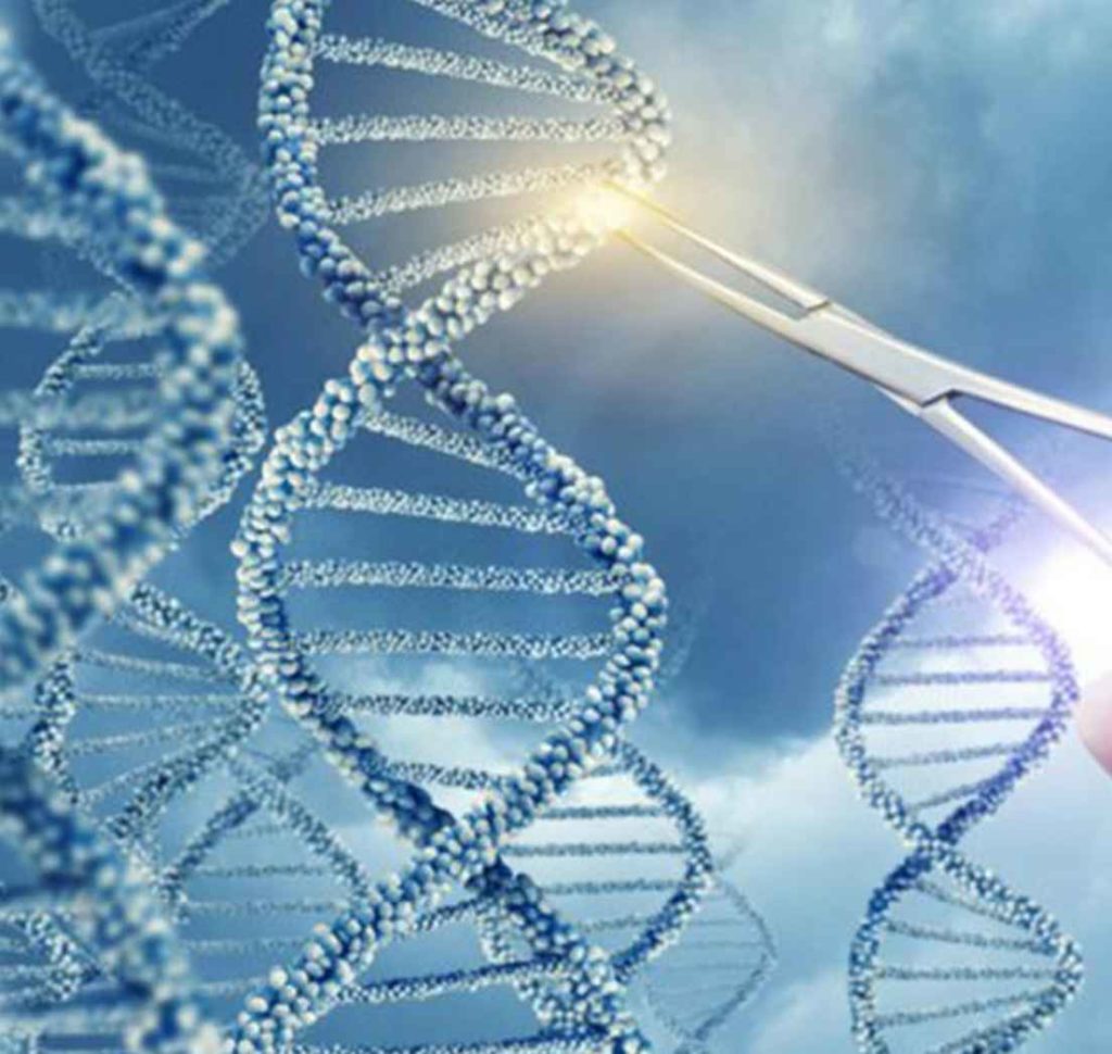 Cell & Gene Therapy | Royale International