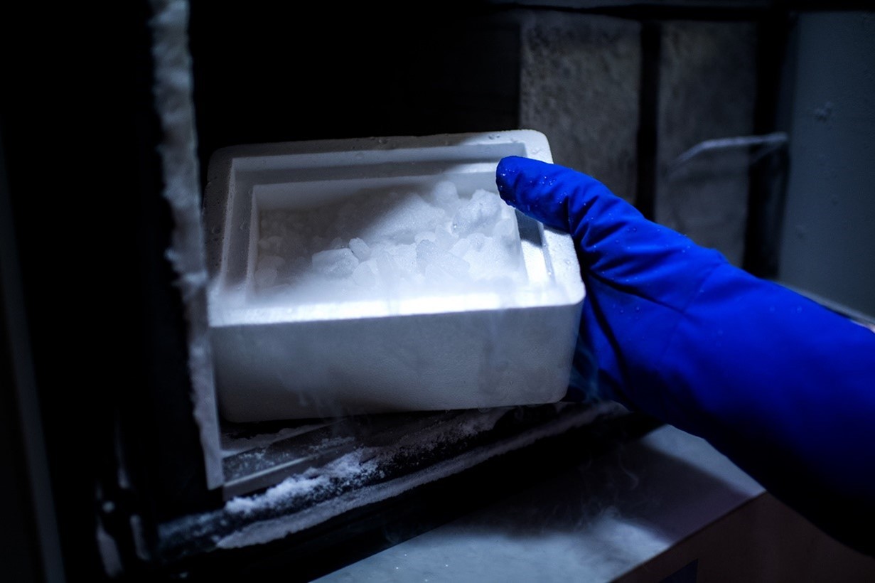 Dry ice blood shipment from Bloemfontein to Oxford - Royale International