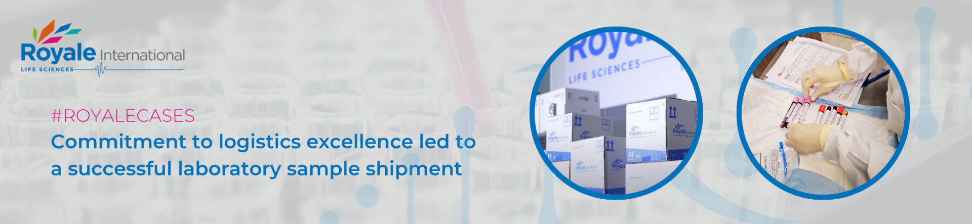 Equine Blood Sample Shipping: Bio-logistics for Research